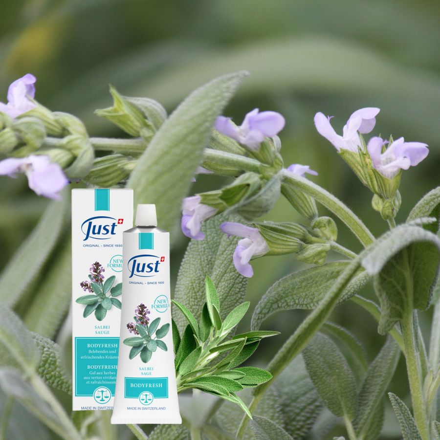 Sage Gel: A Versatile Solution for Skin Care Needs - Vaknature